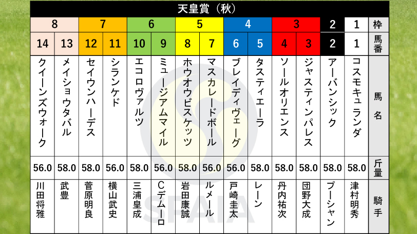 【天皇賞（秋）枠順】宝塚記念の覇者メイショウタバルは8枠13番 ダービー2着マスカレードボールは5枠7番｜競馬×AI×データ分析【SPAIA競馬】