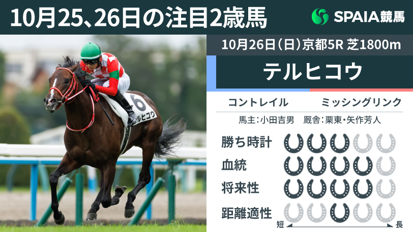 【注目2歳馬】ラスト10.8-11.3で逃げ切ったレースセンスを評価 コントレイル産駒テルヒコウ｜競馬×AI×データ分析【SPAIA競馬】