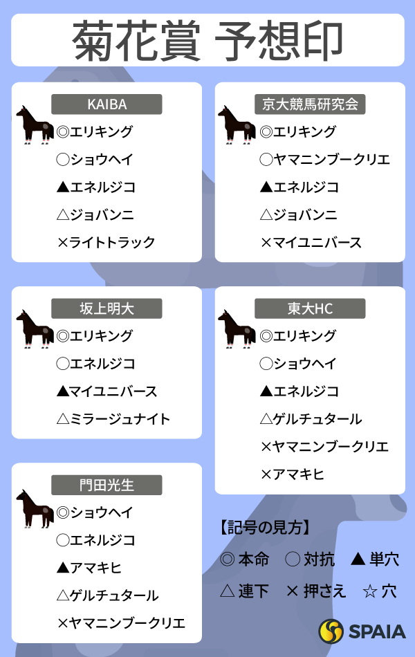 【菊花賞予想印まとめ】エリキングに本命印集中 ショウヘイとエネルジコが熾烈な2番手争い｜競馬×AI×データ分析【SPAIA競馬】