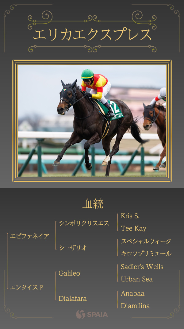 【オークス】中長距離で活躍馬多数の血統 メンバー随一の“スタミナ派”エリカエクスプレスに熱視線（SPAIA）｜dメニューニュース（NTTドコモ）