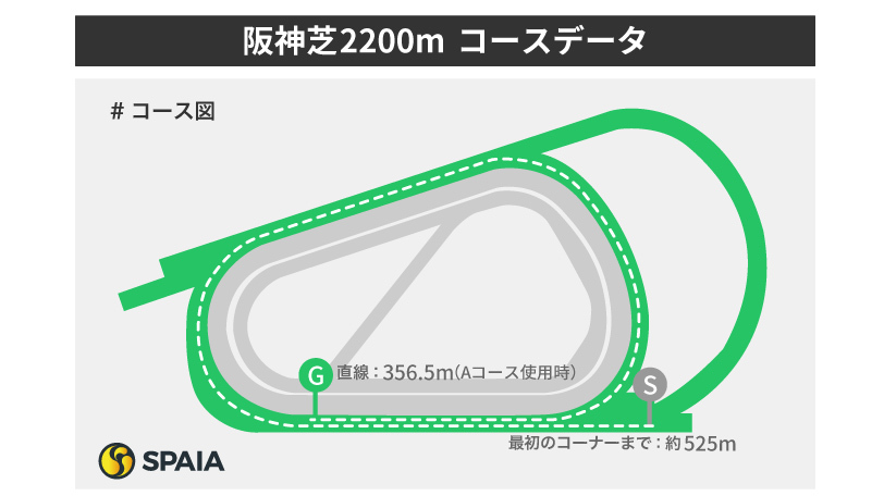川田将雅騎手が14勝＆複勝率50%記録、キズナ産駒は単複回収率100%超 阪神芝2200mを徹底検証｜競馬×AI×データ分析【SPAIA競馬】